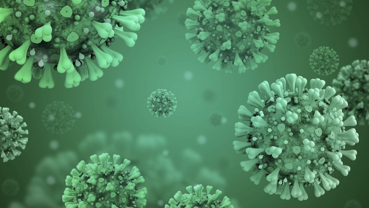 Jenaer Long-COVID-Projekt